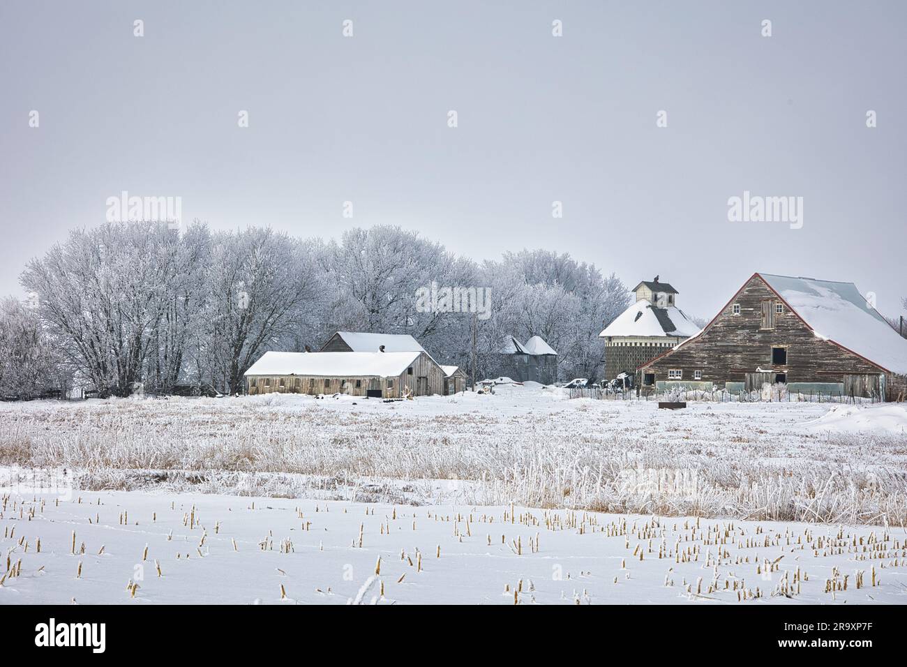 Remote farmhouse farm buildings hi-res stock photography and images - Alamy