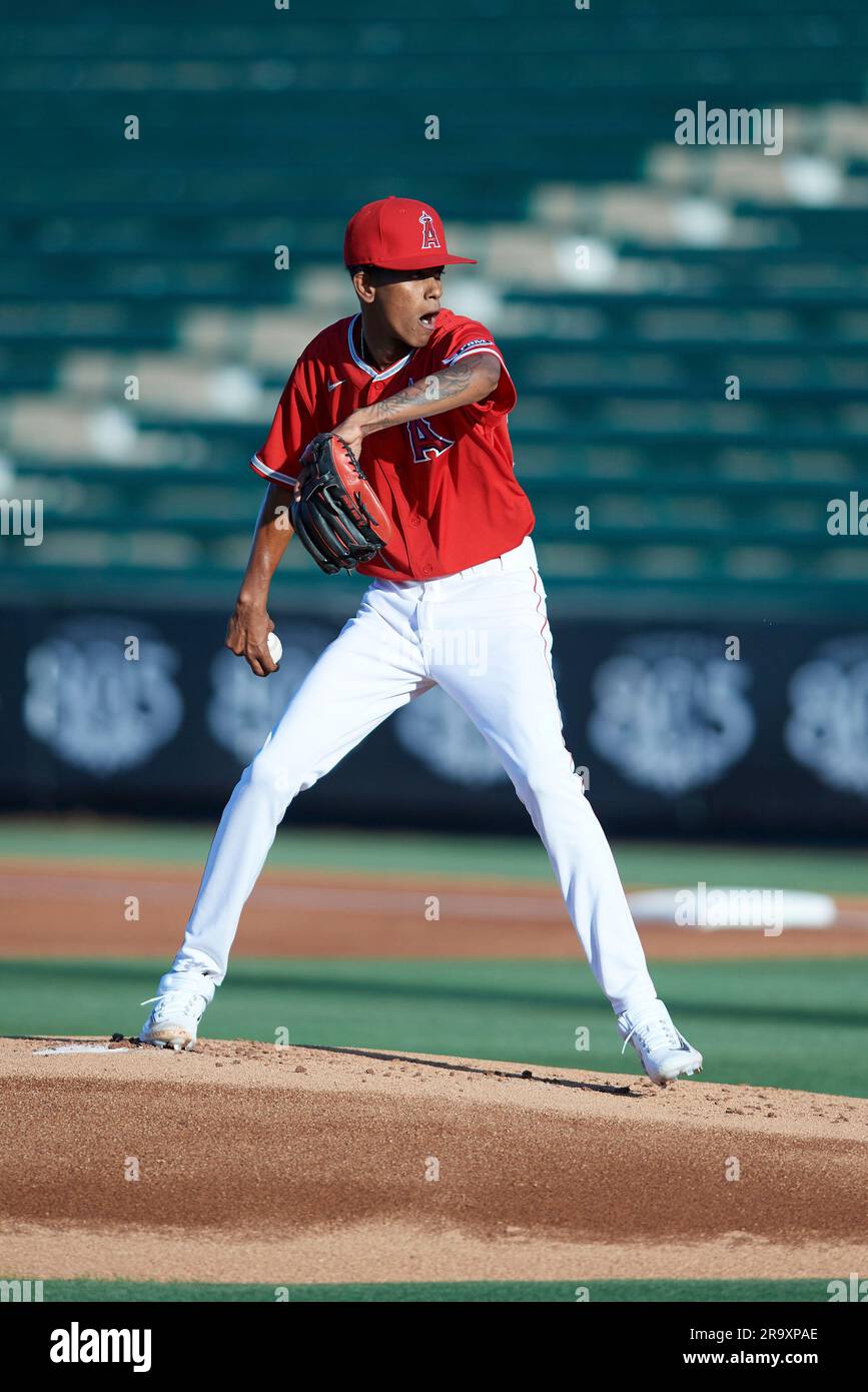 ACL Angels starting pitcher Dawry Segura (64) during an Arizona Complex ...