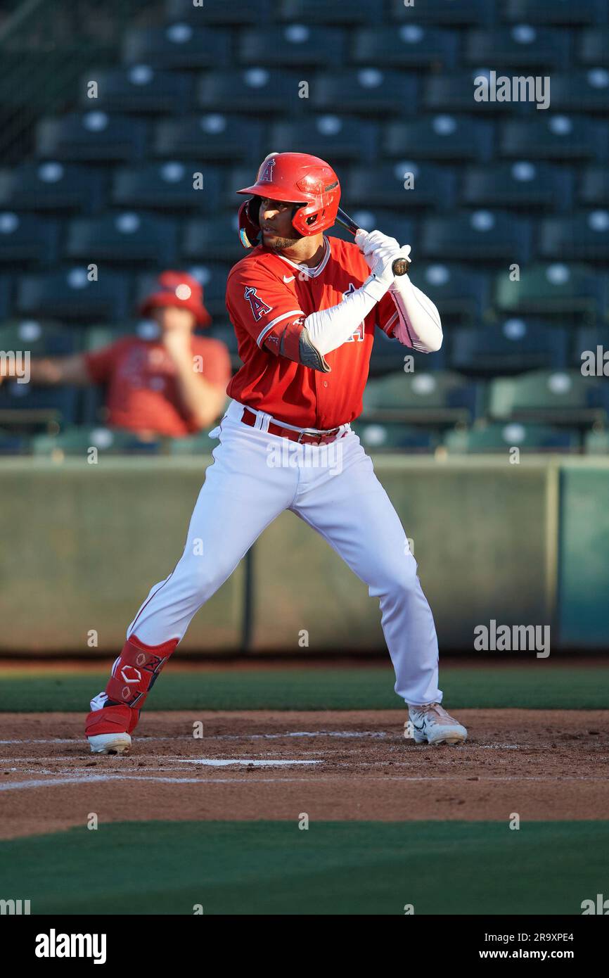 Dario Laverde (68) of the ACL Angels during an Arizona Complex League ...