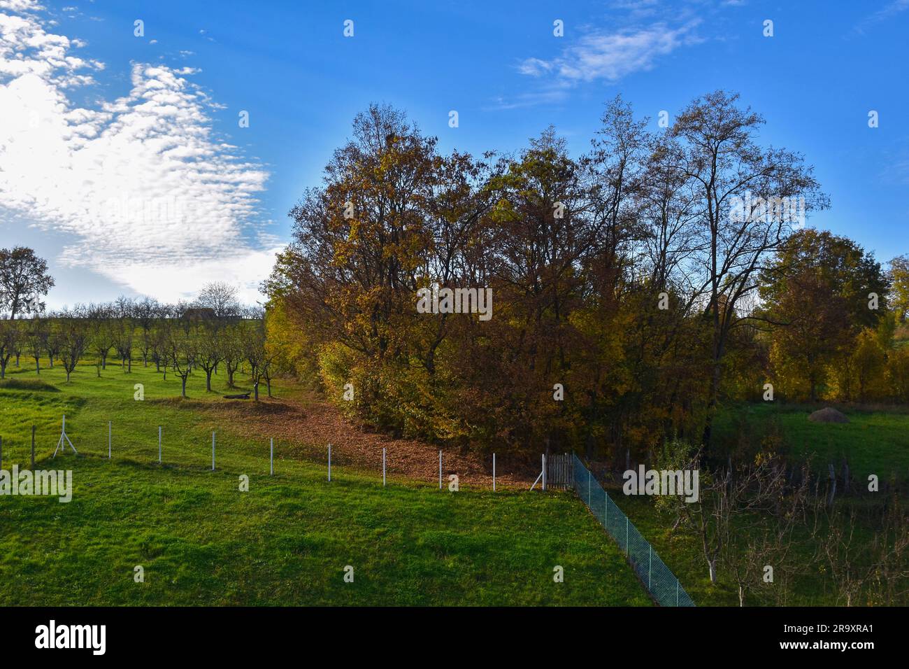 Rural landscape orchards in hi-res stock photography and images - Alamy