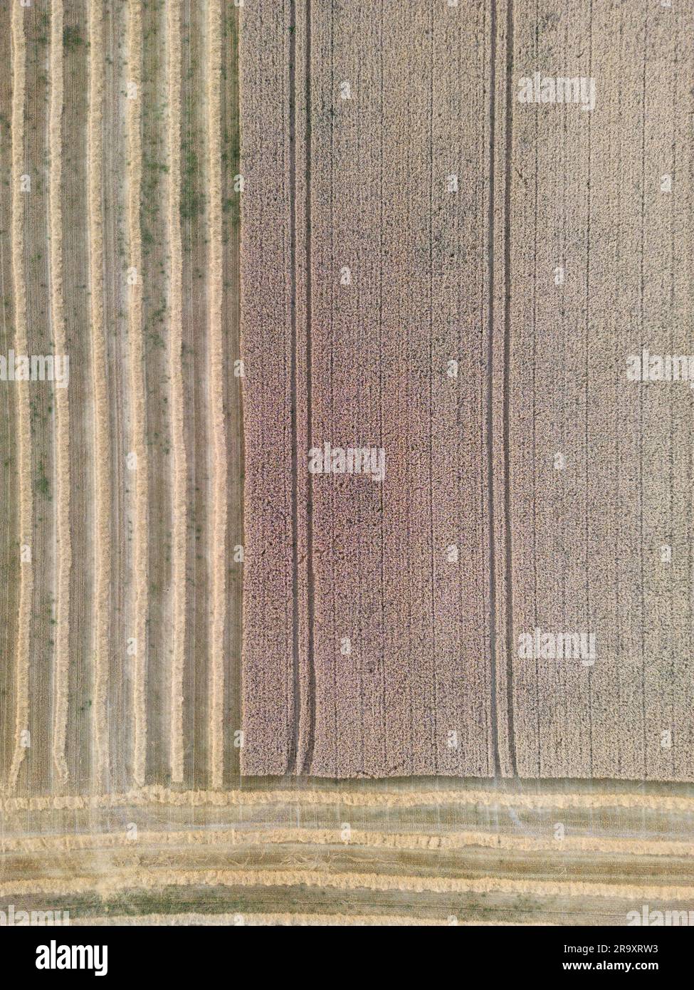 Aerial images of British farmland showing field boundaries and vehicle ...