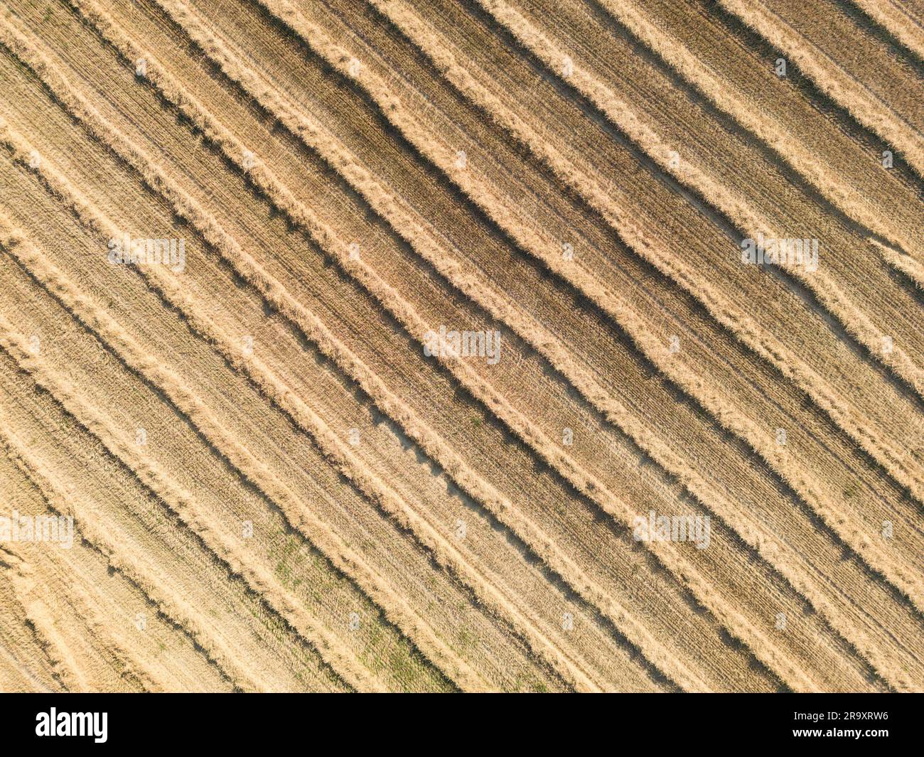Aerial images of British farmland showing field boundaries and vehicle ...