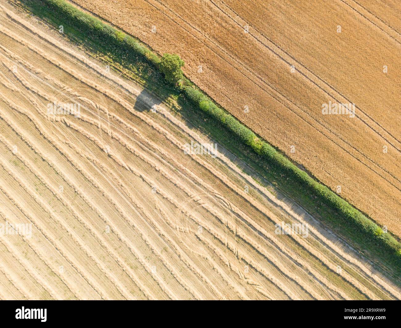 Aerial images of British farmland showing field boundaries and vehicle ...
