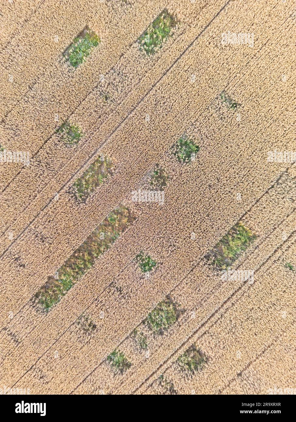 Aerial images of British farmland showing field boundaries and vehicle ...