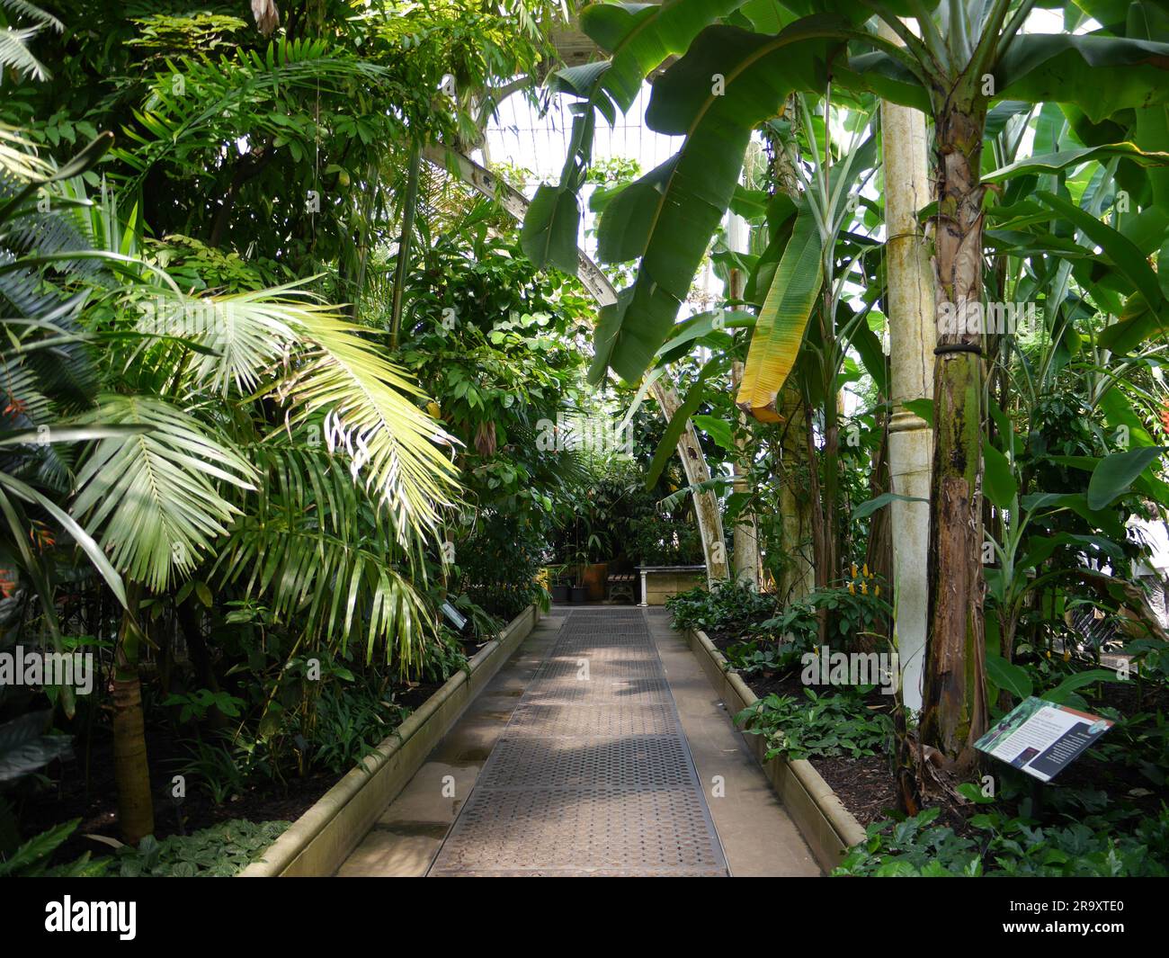 Walkway inside The Palm House in Kew Botanical Gardens Stock Photo - Alamy