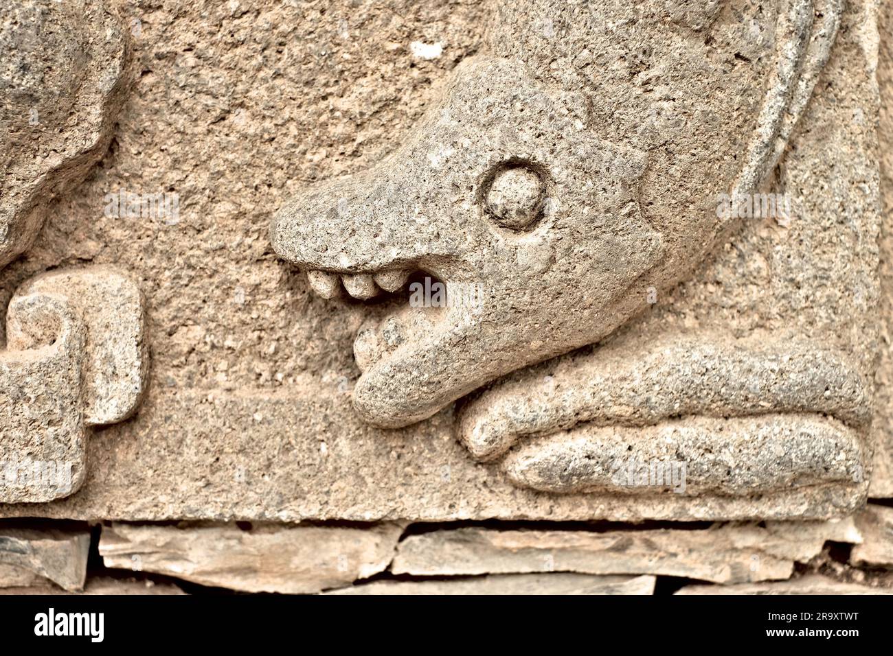 Sea monster detail relief image in stone Stock Photo - Alamy