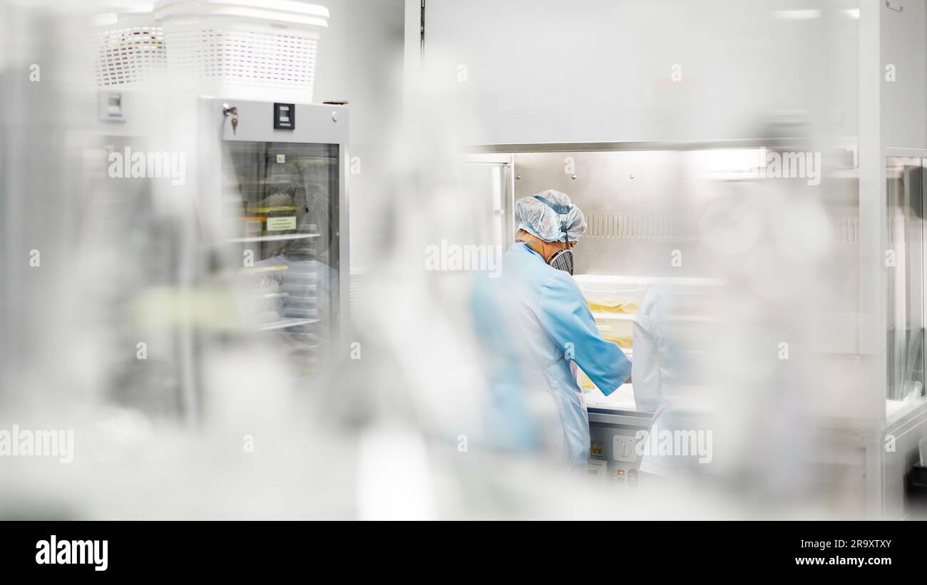 Laboratory for the production of biomaterials. People do research Stock ...