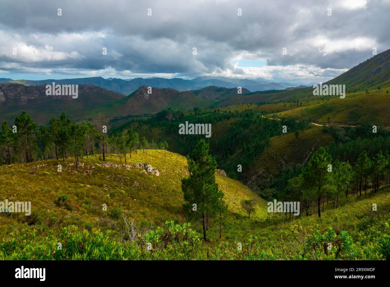 Verdant valley hi-res stock photography and images - Alamy