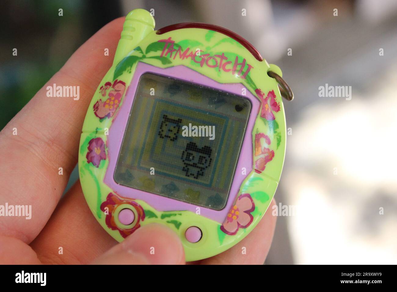 Photo depicting a tamagotchi device, green with tropical flowers, held ...