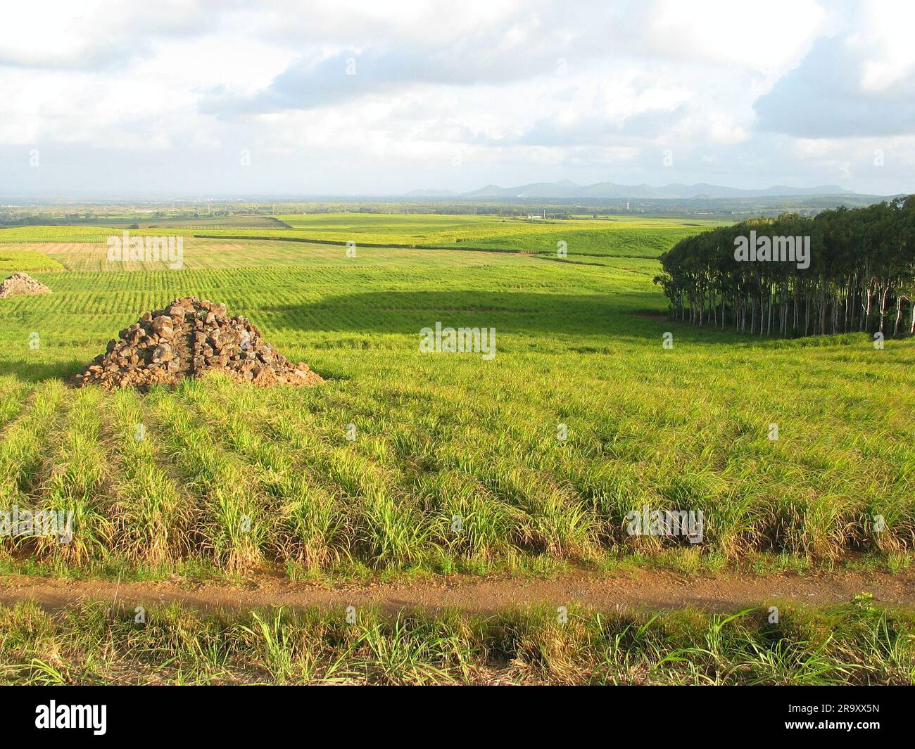 Stone pyramids in sugar cane plantation, Mauritius Island, Mauritius ...