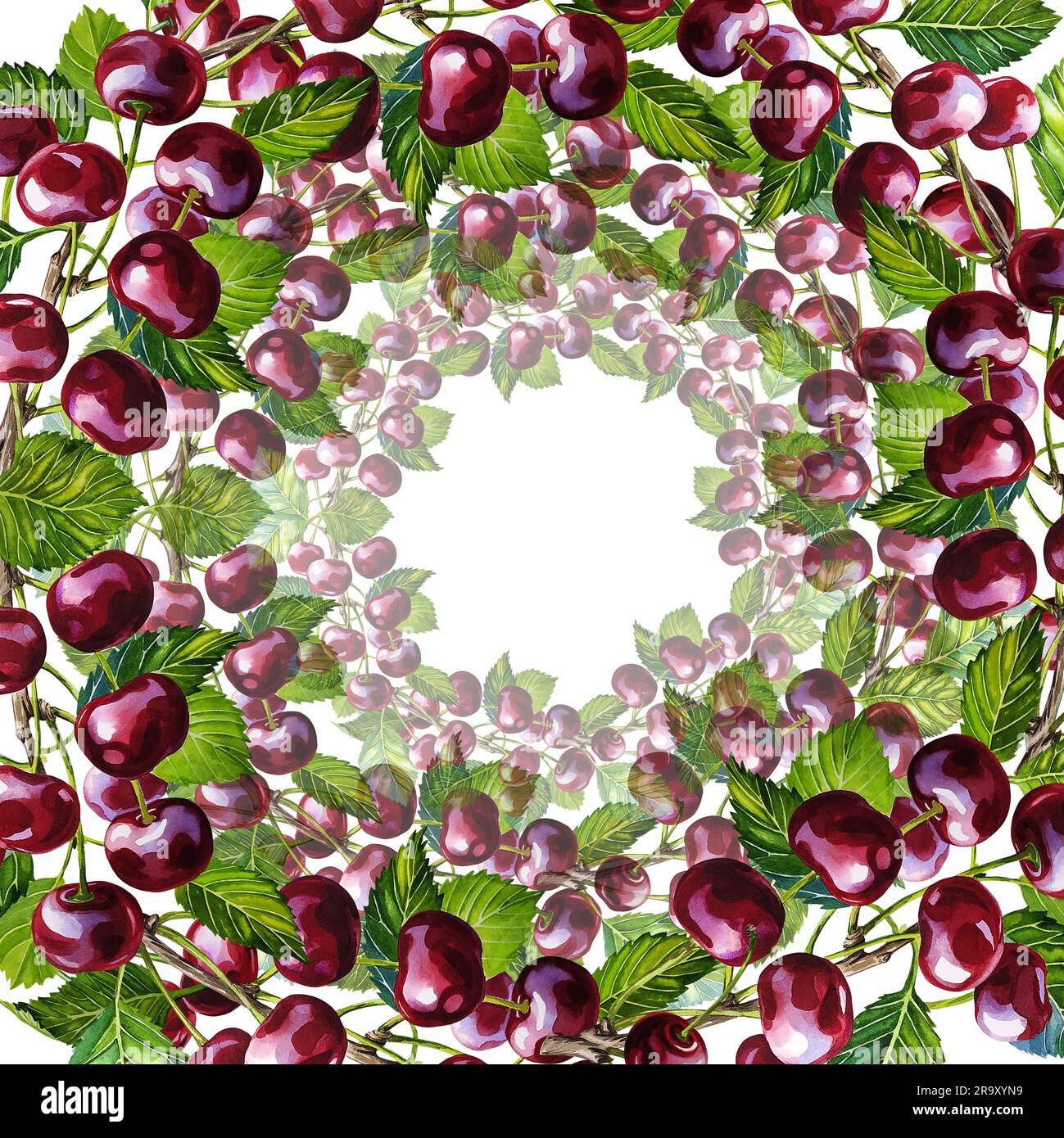 Cherry round frame. Fruit wreath. Watercolor hand drawn illustration ...