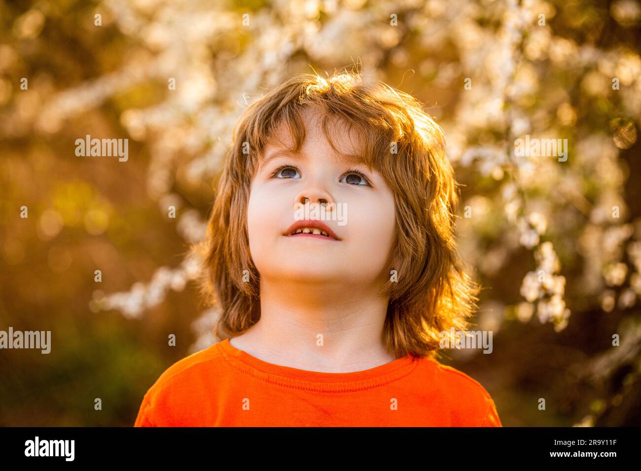 Child, boy, spring, sun. Happy little boy walking in spring garden ...