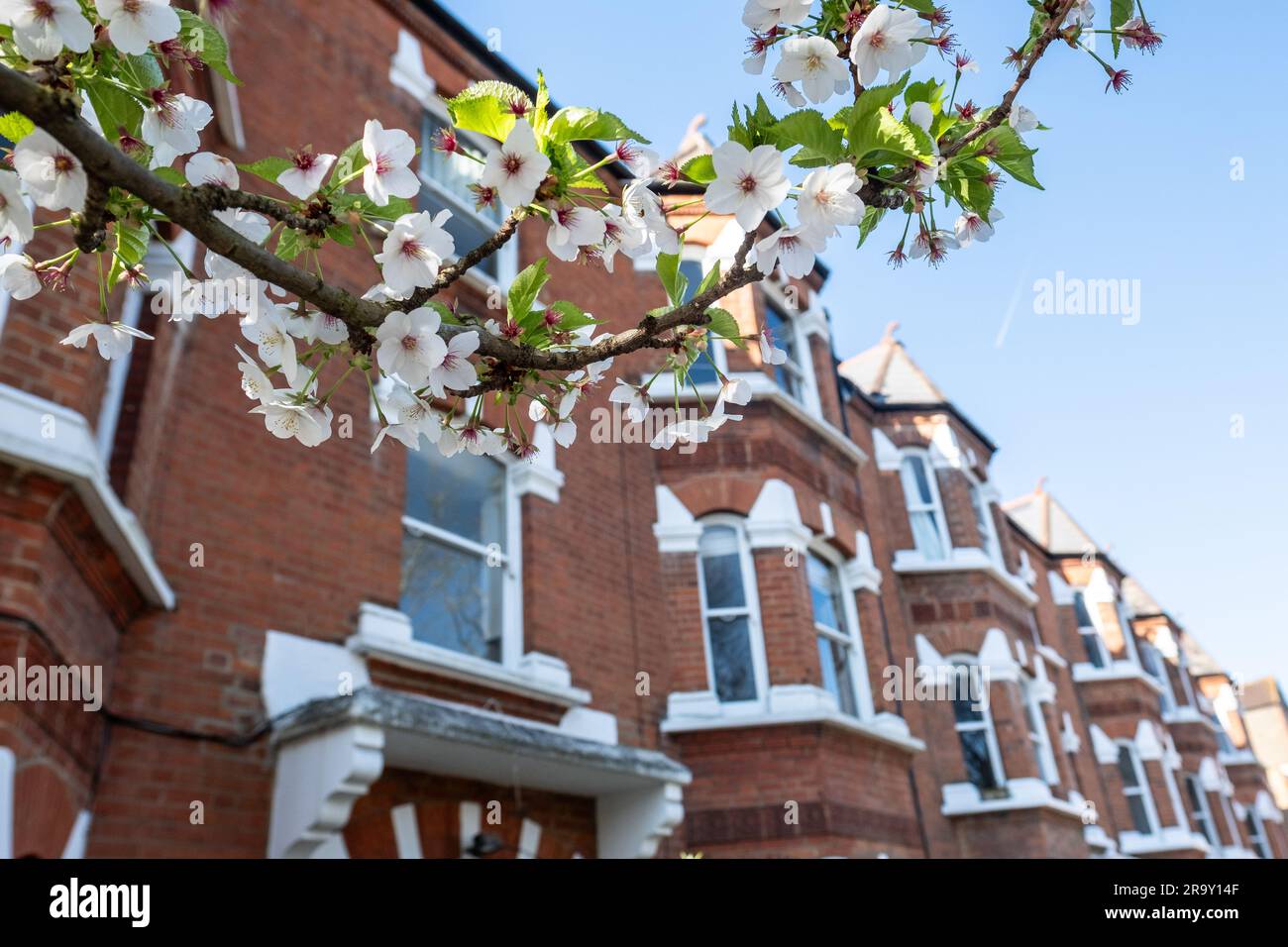 British terraced houses hi-res stock photography and images - Alamy