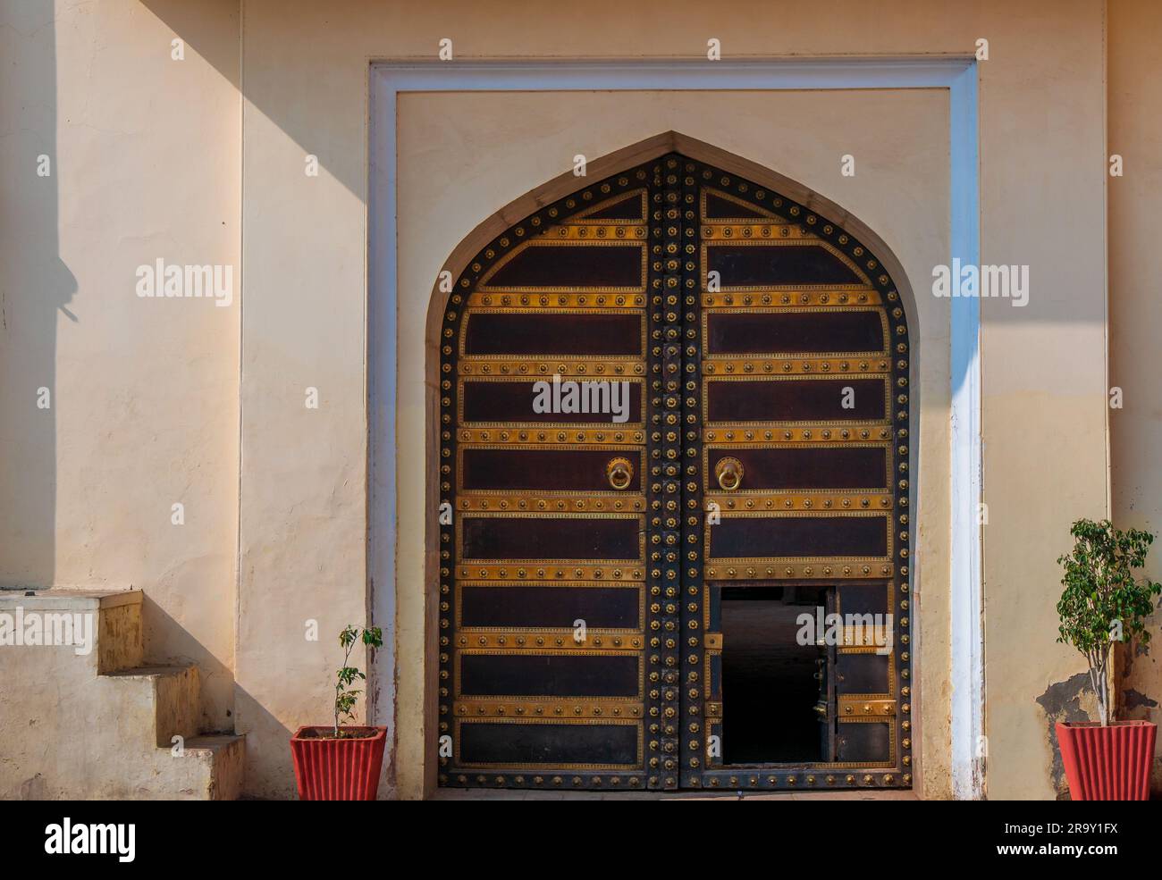 Traditional door in palace of Rajasthan. Heritage artwork of India ...