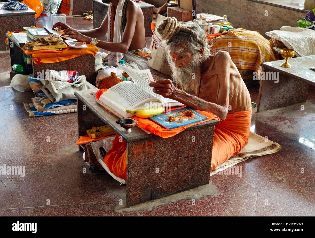24 June 2023, Old age Indian Sadhu Reading holy Scriptures in ...