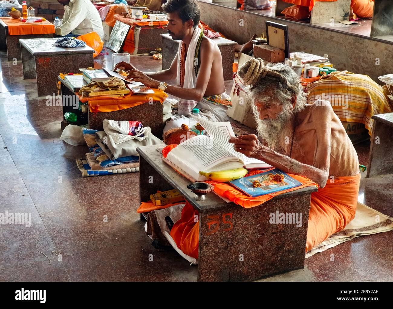 24 June 2023, Old age Indian Sadhu Reading holy Scriptures in ...