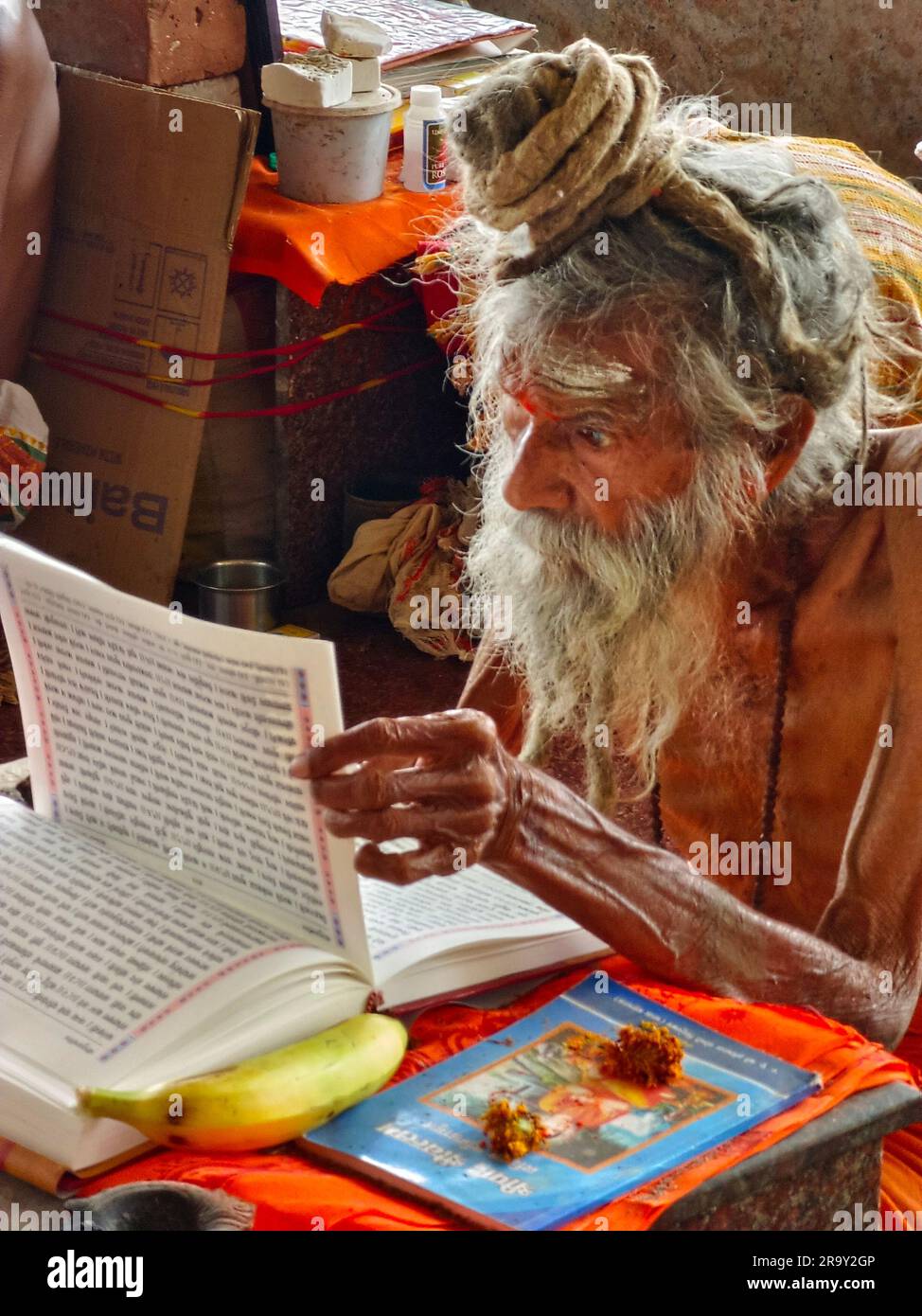 24 June 2023, Old age Indian Sadhu Reading holy Scriptures in ...