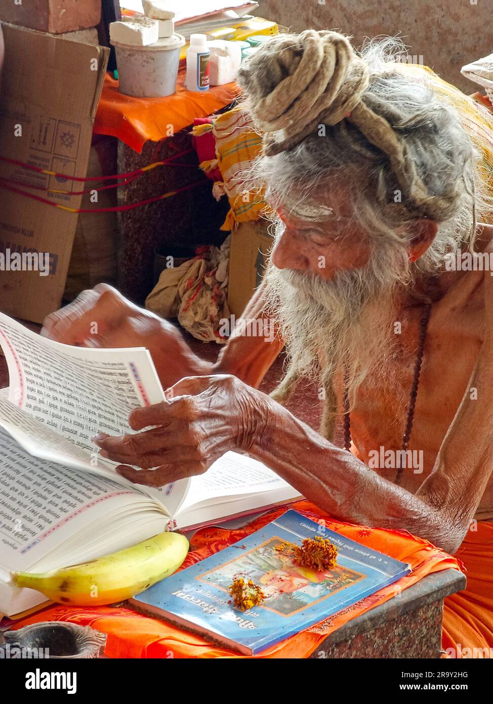 24 June 2023, Old age Indian Sadhu Reading holy Scriptures in ...