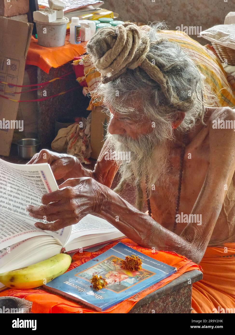 24 June 2023, Old age Indian Sadhu Reading holy Scriptures in ...