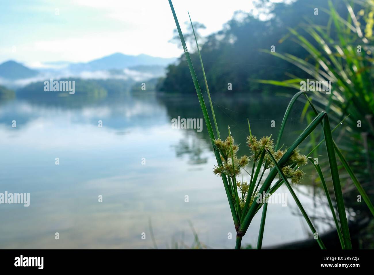 Kuala Lumpur- Malaysia- View of the Genting Highlands from the Klang ...