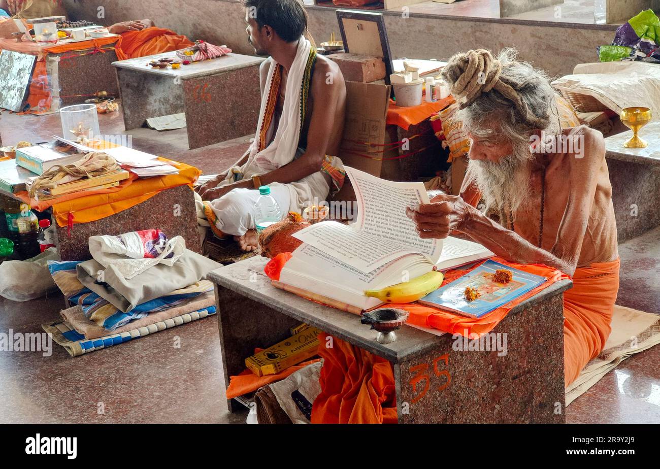 24 June 2023, Old age Indian Sadhu Reading holy Scriptures in ...