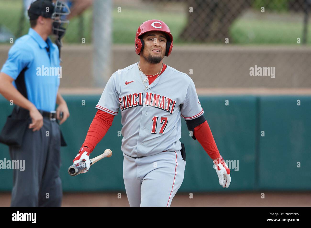 Ricardo Cabrera (17) of the ACL Reds during an Arizona Complex League ...