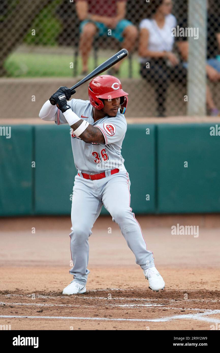 Donovan Antonia (36) of the ACL Reds during an Arizona Complex League ...