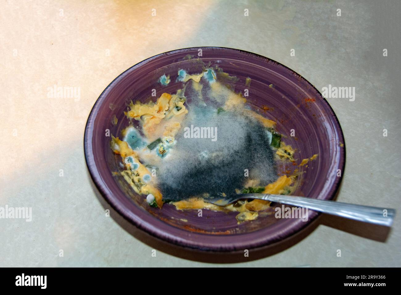 Disgusting food on a plate hi-res stock photography and images - Alamy