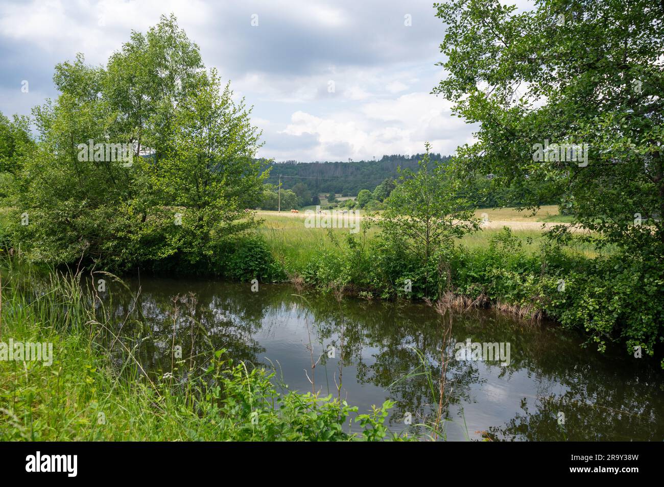 The Eder - A river in Germany in a green landscape Stock Photo - Alamy