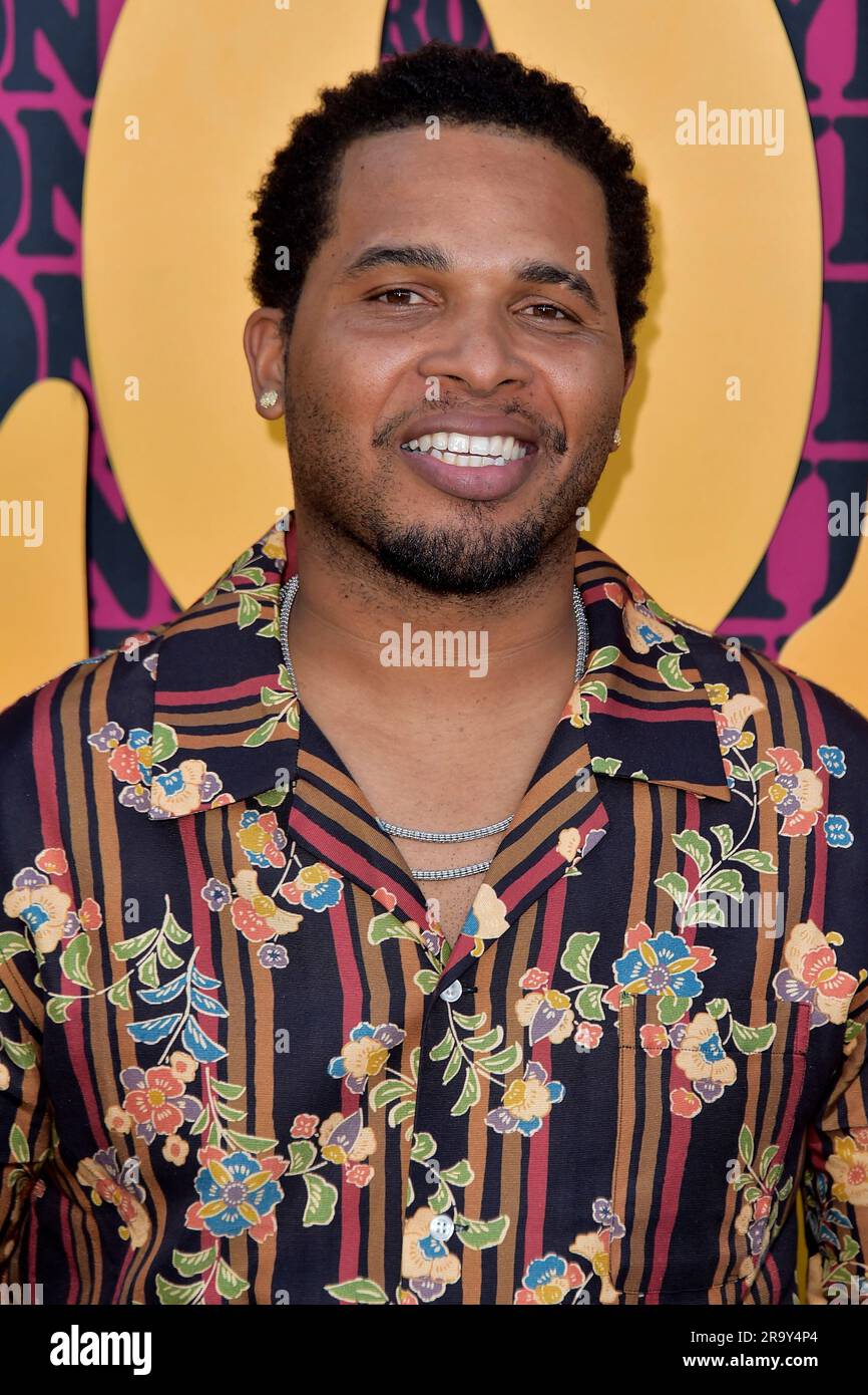 Devon libran hi-res stock photography and images - Alamy