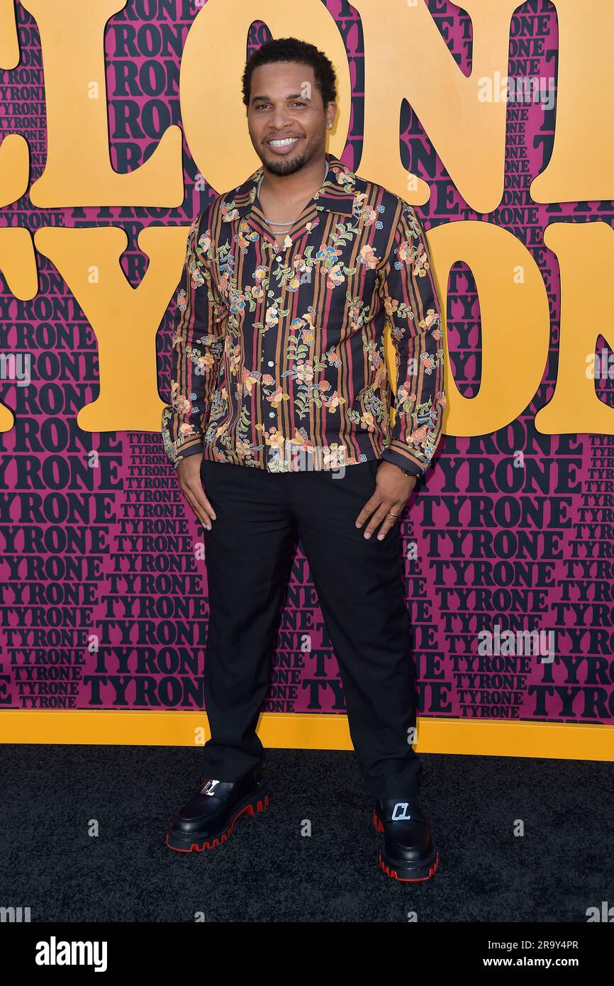 Devon libran hi-res stock photography and images - Alamy