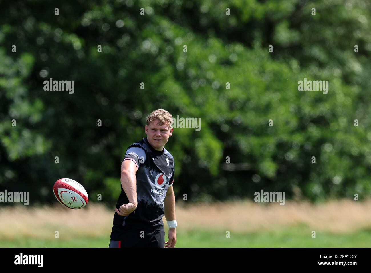 Sam costelow wales rugby hi-res stock photography and images - Alamy