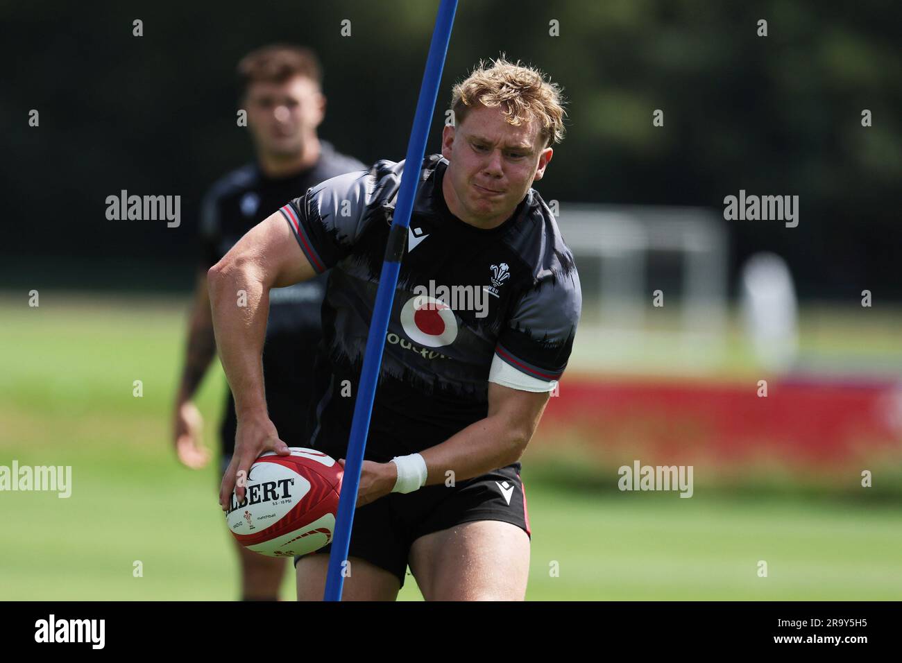 Sam costelow wales rugby hi-res stock photography and images - Alamy