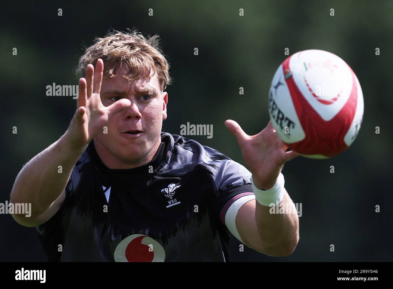 Sam costelow wales rugby hi-res stock photography and images - Alamy