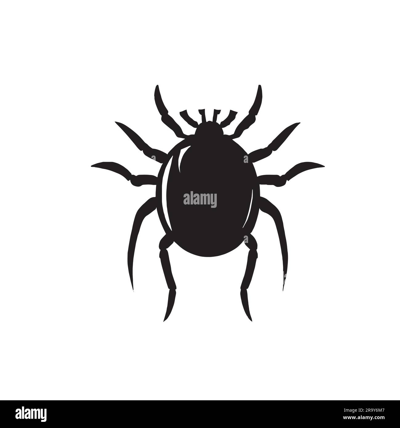 Black beetle Stock Vector Images - Alamy