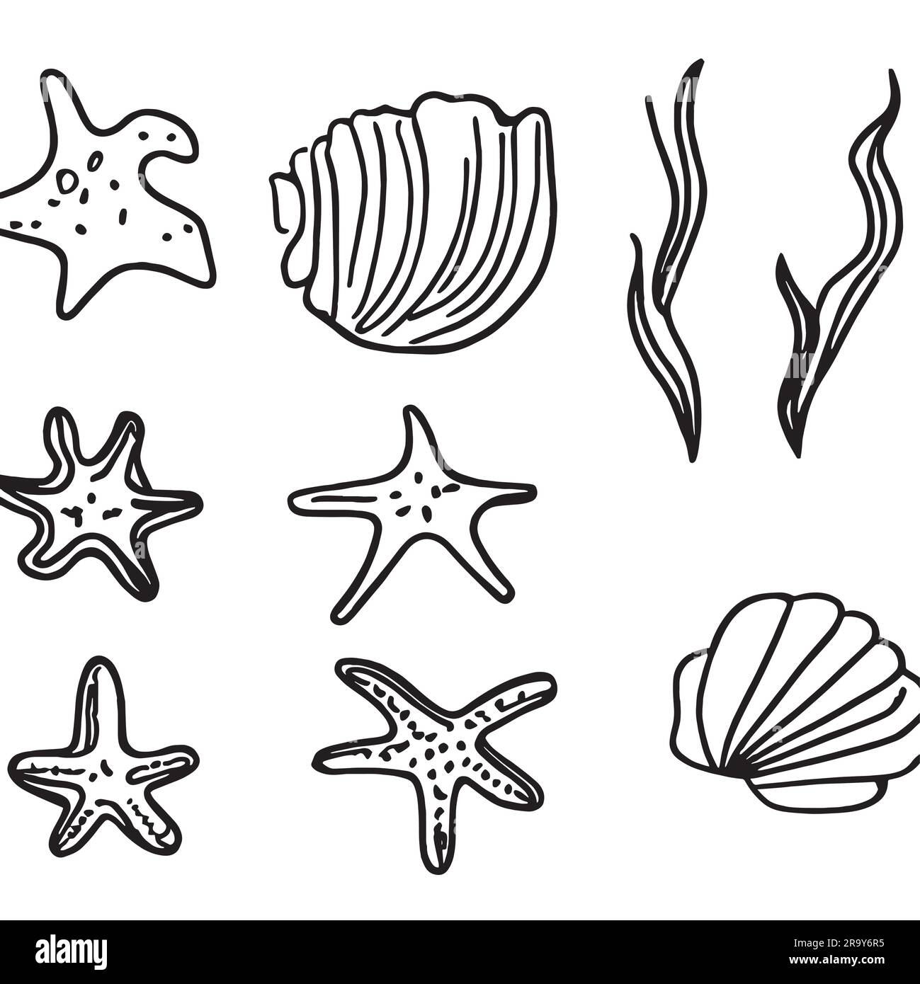 Sea Shells Clipart Black And White