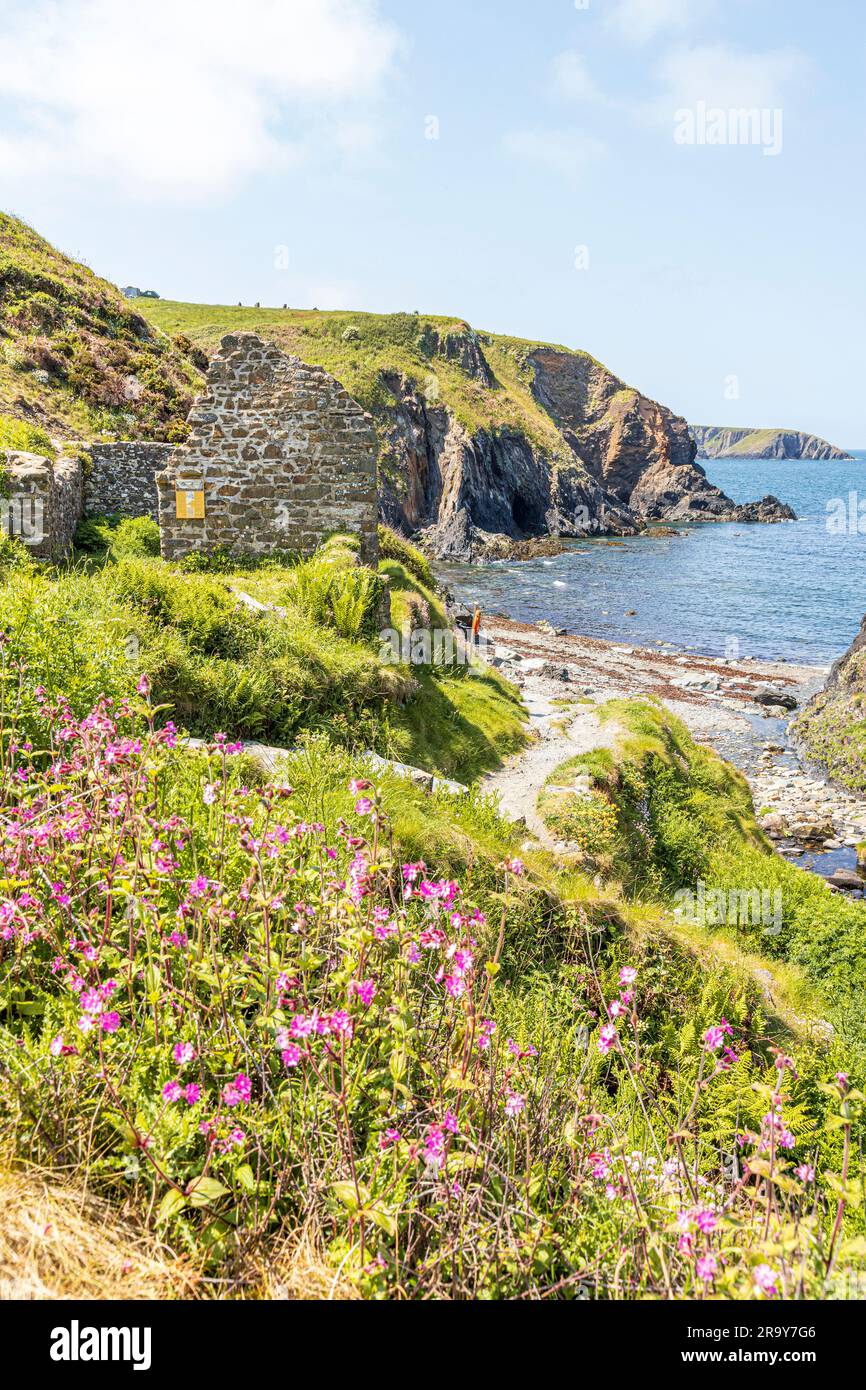 Trefin Mill on the Pembrokeshire Coast Path National Trail at Trefin ...