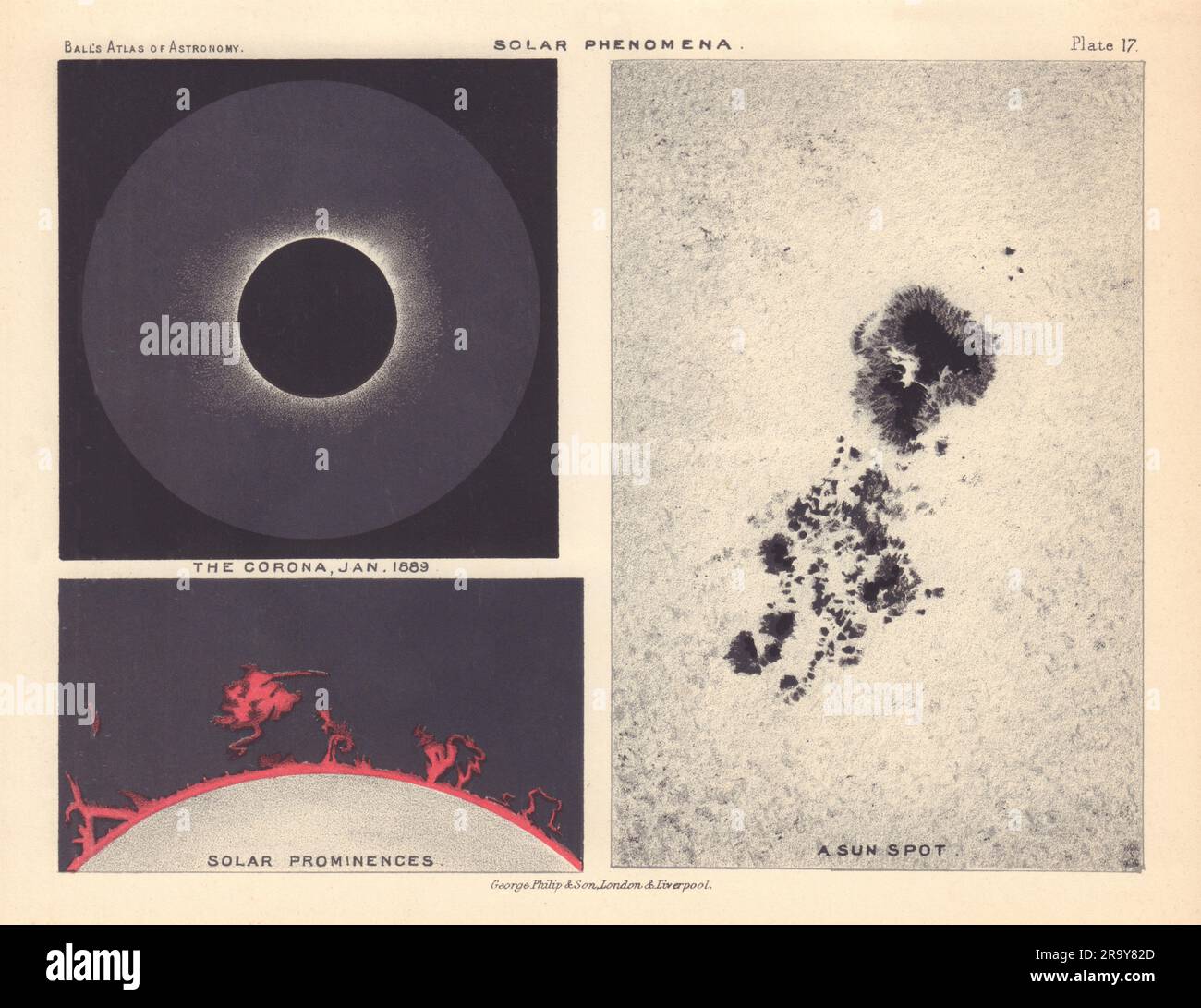 Solar Phenomena Sun spot Prominences Corona 1889. By Robert Ball ...