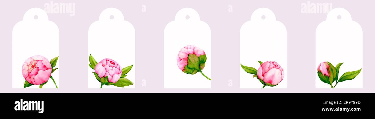 Set of gift tags with peonies. Collection of labels with watercolor ...