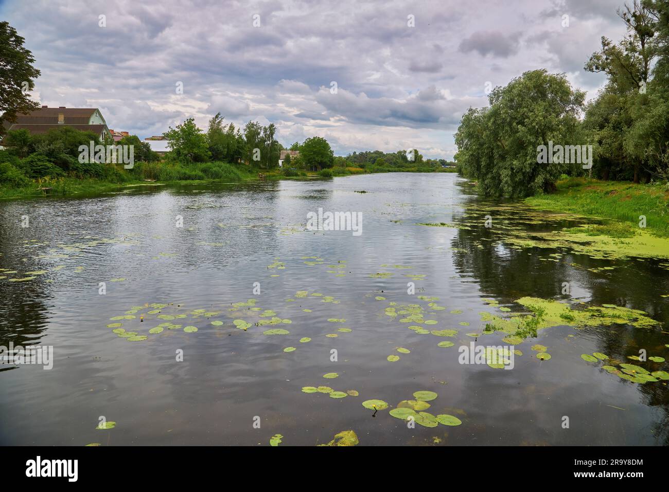 Big grassy river hi-res stock photography and images - Alamy