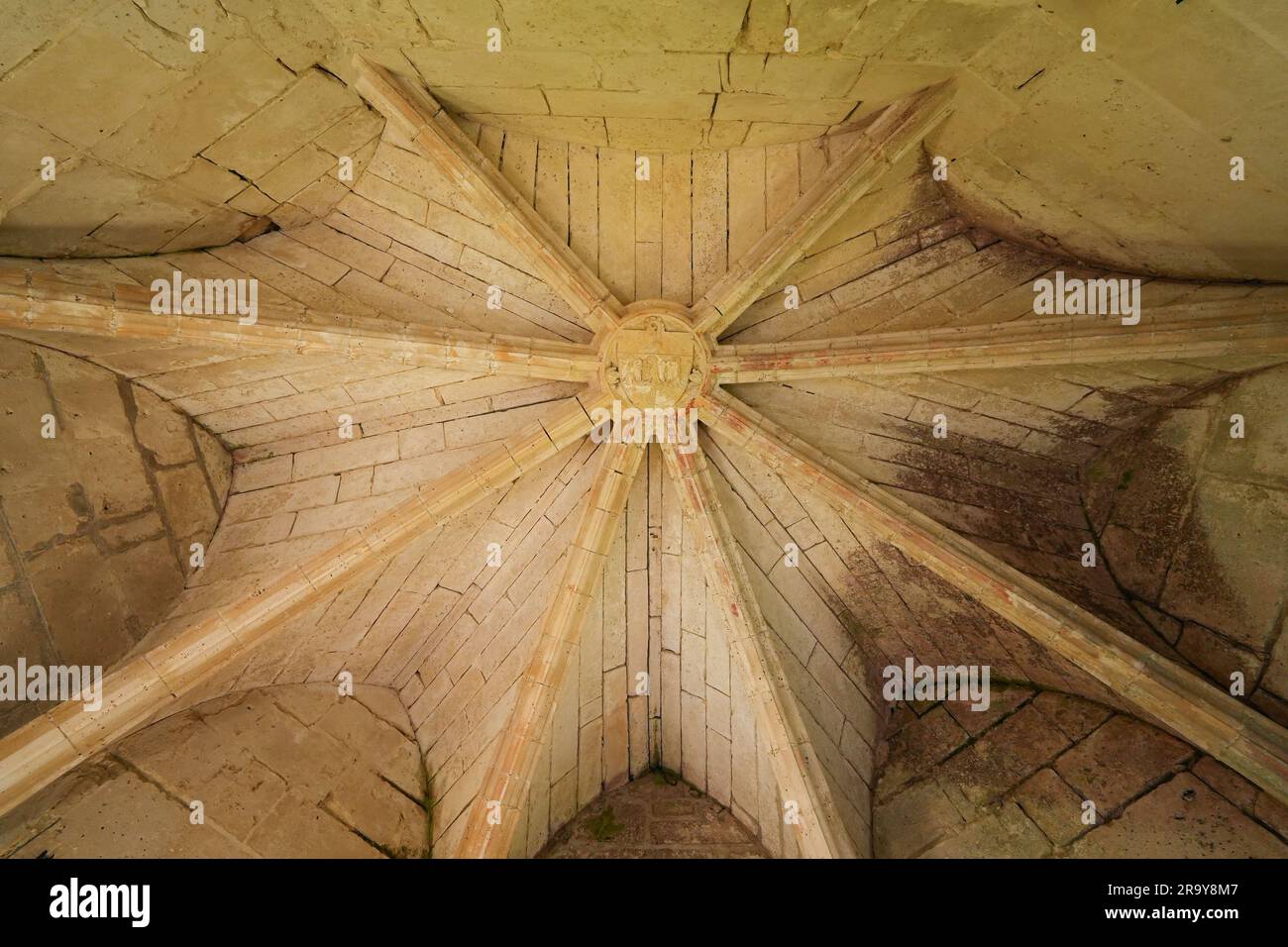 Rib vault in the Dungeon of Septmonts in Aisne, Picardie, France ...