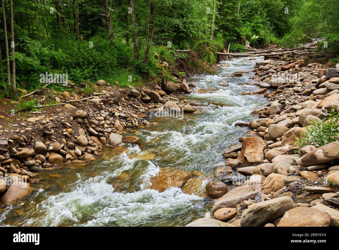 landscape with mountains, forest and a river in front. beautiful ...