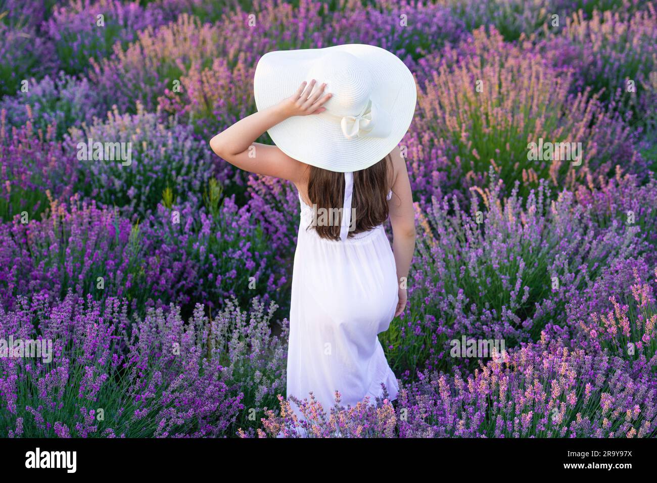 back view of girl posing in lavender flowers. beautiful girl in ...