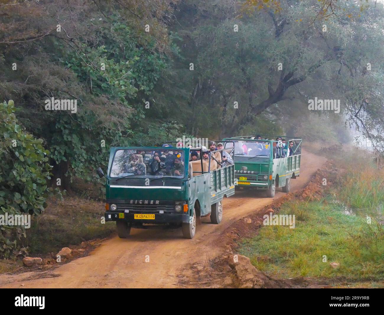 Ranthambore, India - December 24, 2022: Tourist enjoying jungle safari ...