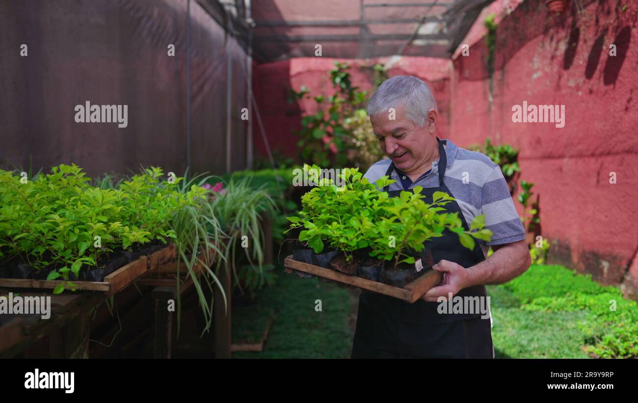 Joyful experienced senior gardner carrying hi-res stock photography and ...