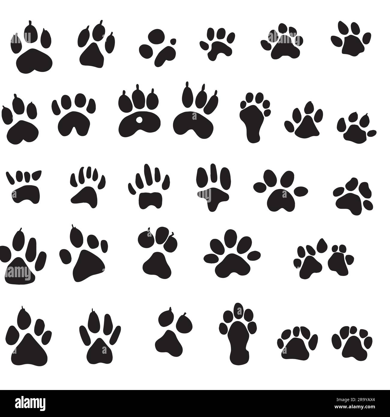 Animal footprint drawing Stock Vector Images - Alamy
