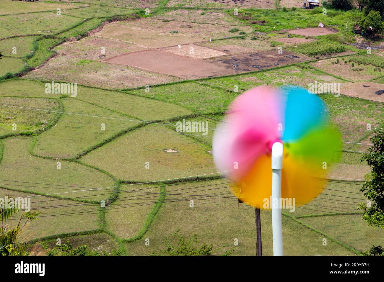 Colorful pinwheel spinning over rice fields at northern Thailand Stock ...