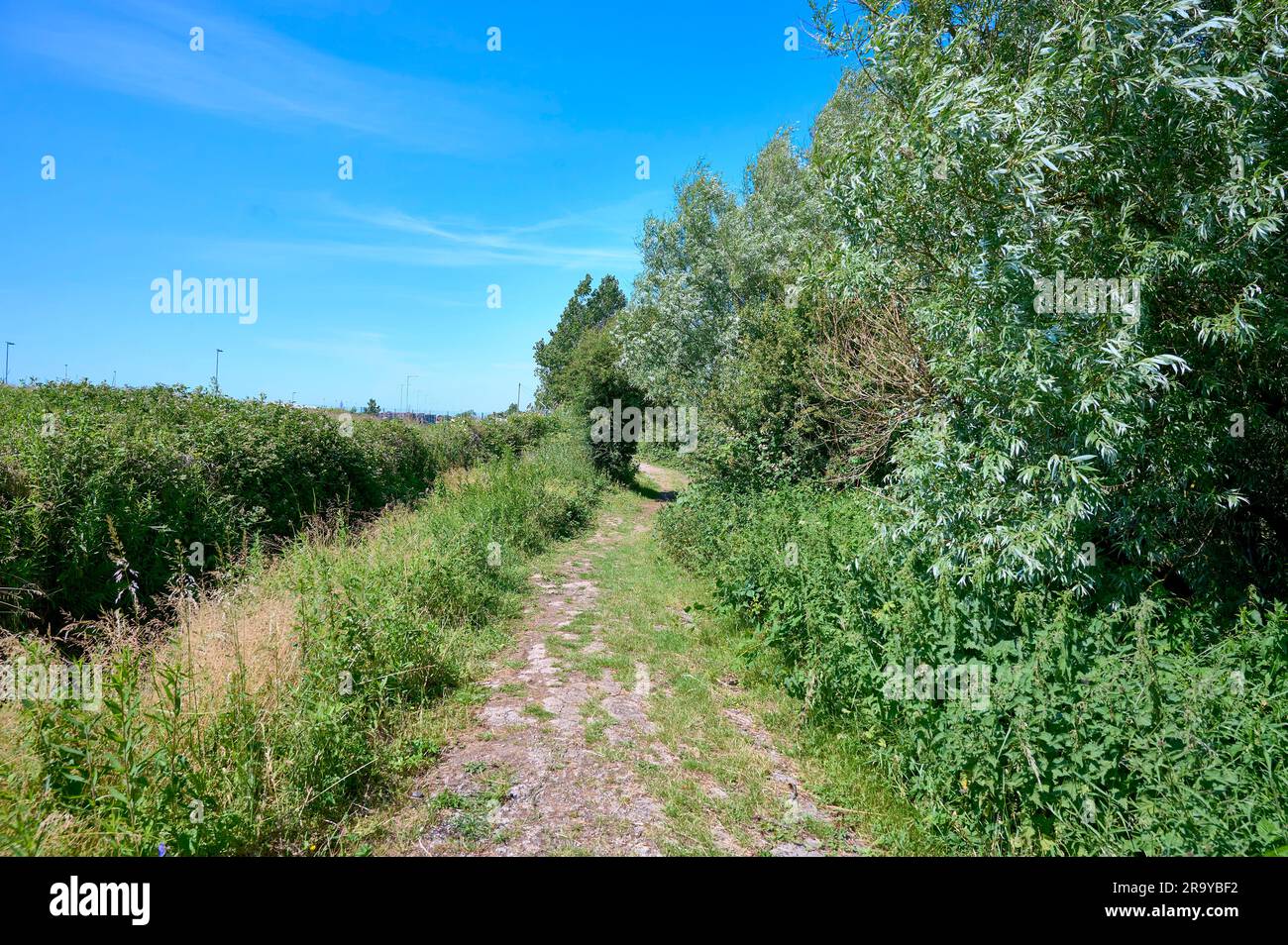 Moss Edge Lane an ancient road crossing the Fylde Coast in Lancashire ...