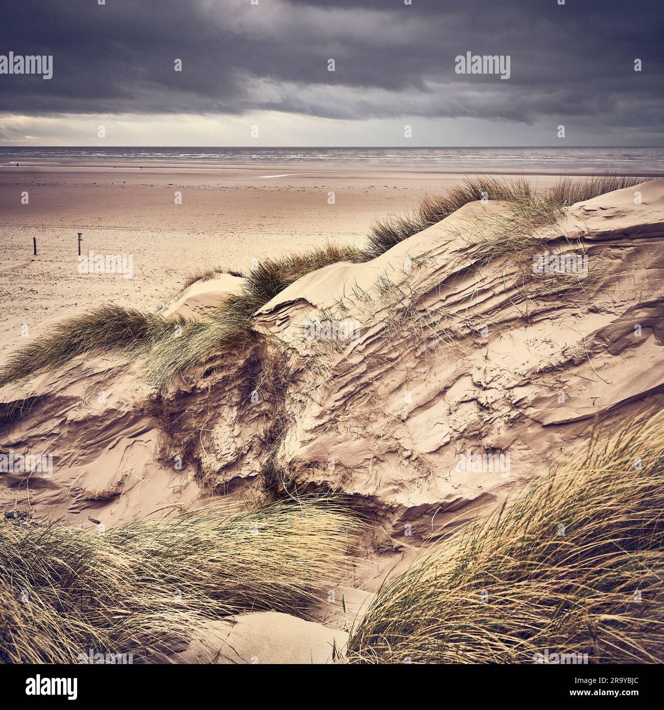 Sea beach and sand dunes on the Fylde coast Stock Photo - Alamy
