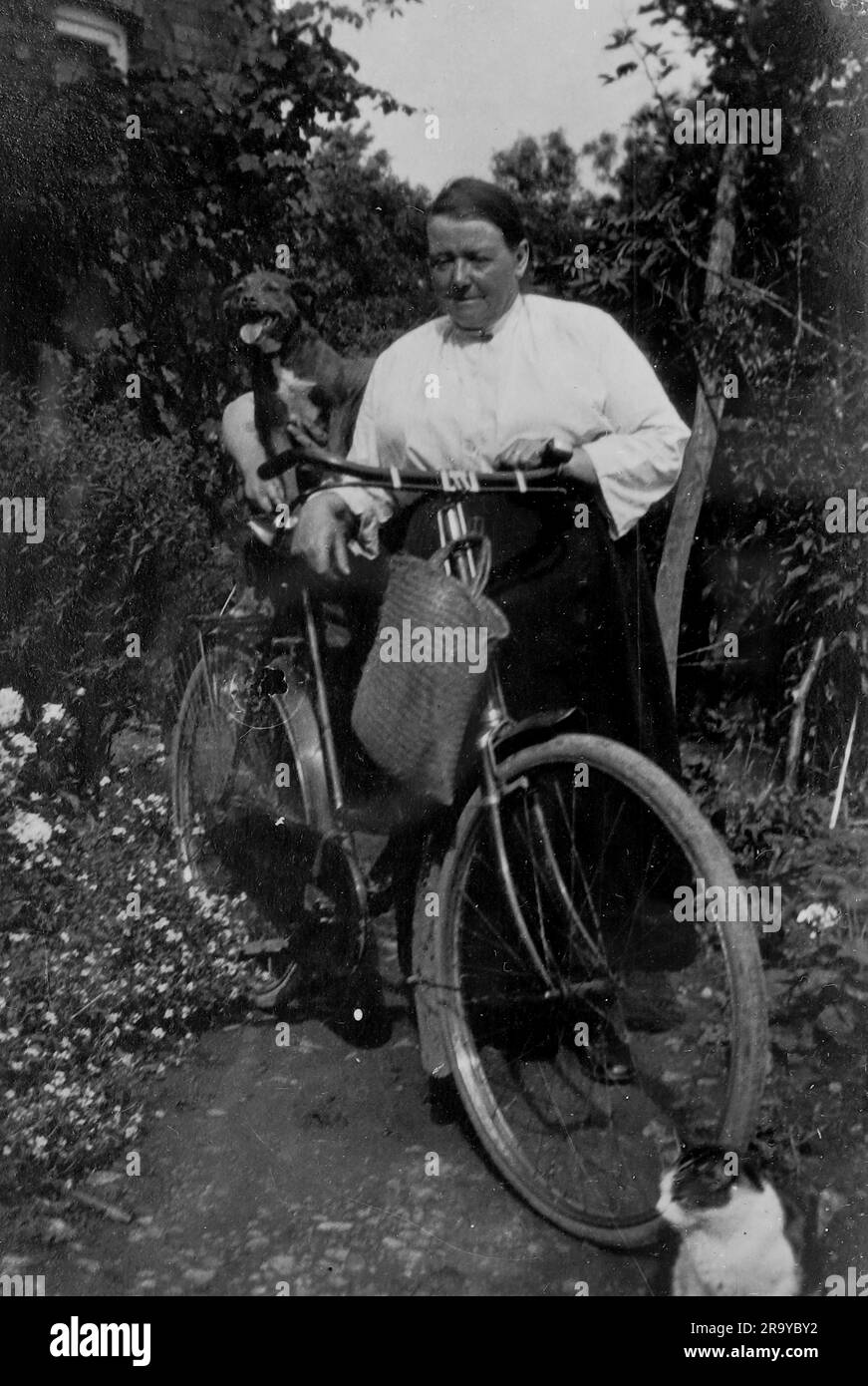 A lady manoeuvring a bicycle on a narrow path in a garden. Photo from a ...